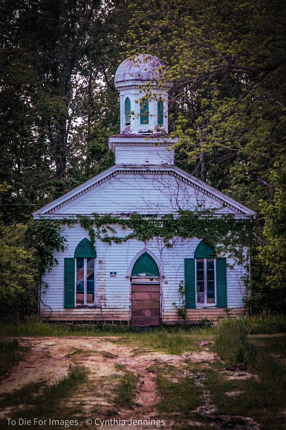 Rodney Baptist Church-Rodney, Mississippi | To Die for Images