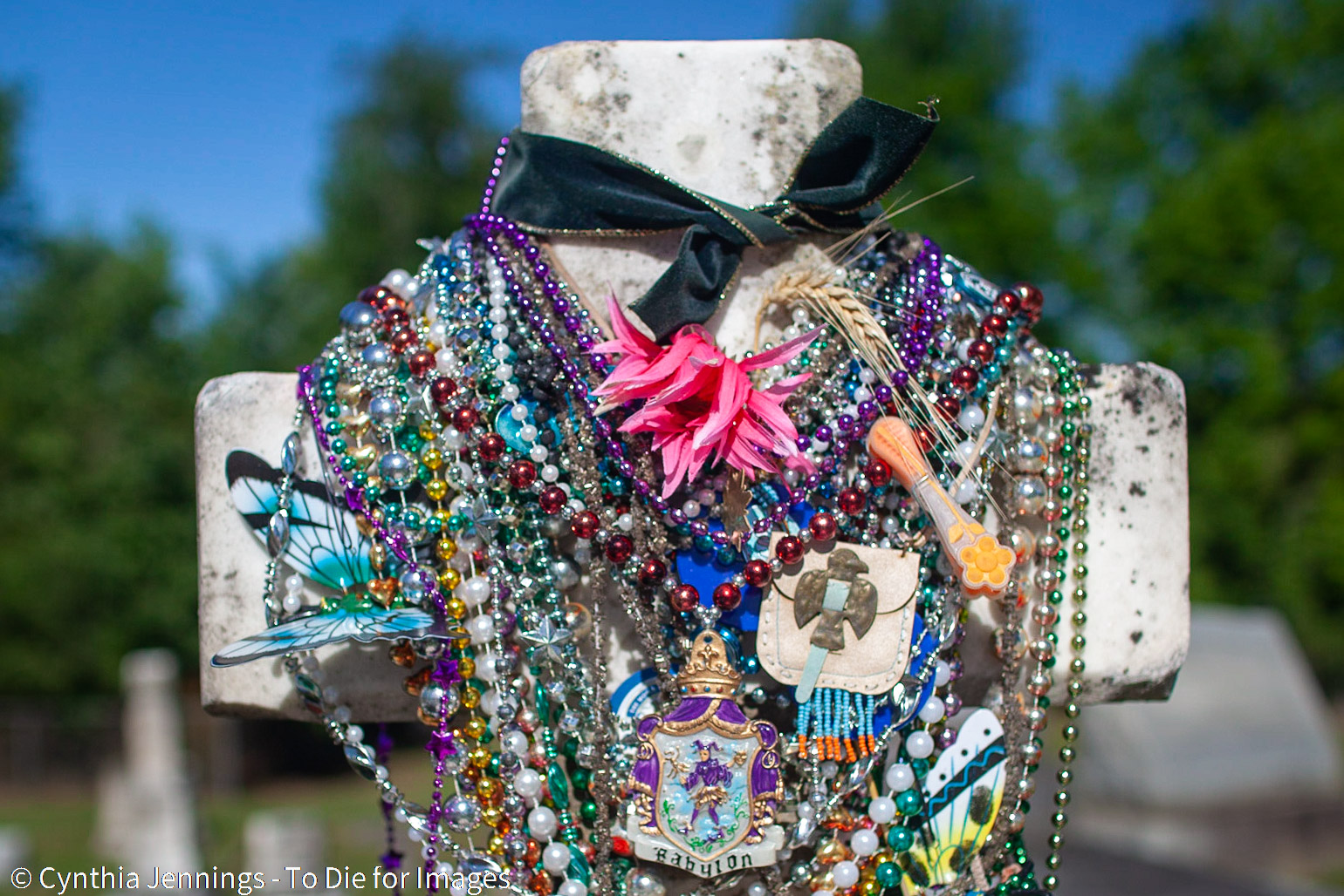 Kelly Mitchell, Queen of the Gypsies-Meridian, Mississippi | To Die for ...