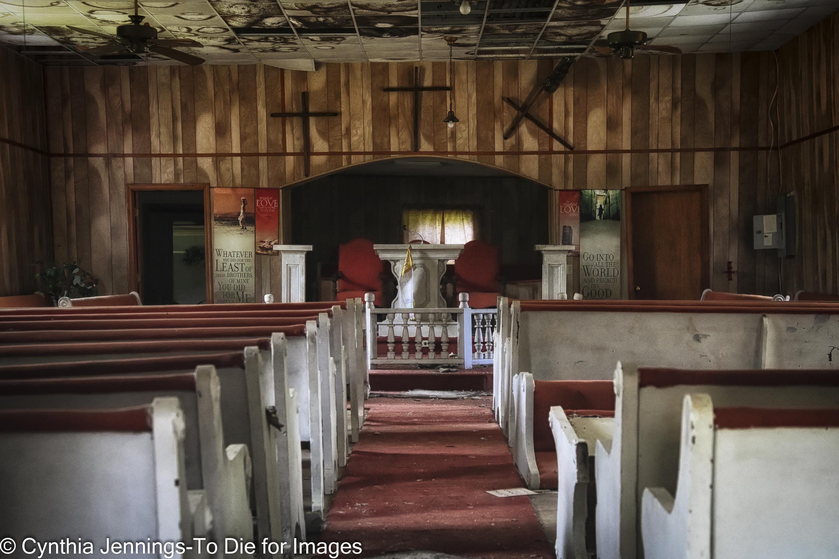 Sandy Grove AME Church and School, Georgia - To Die for Images